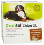 Vermifuges: Drontal Chien XL 2 Comprimés